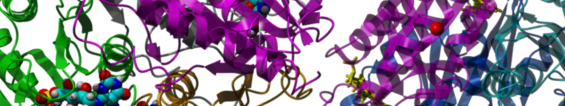 Polymer Institute SAS